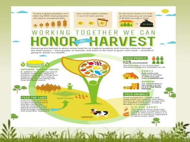 Agro based industries scenario and their future in India | PPTX