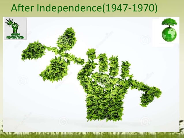 Agro based industries scenario and their future in India | PPTX