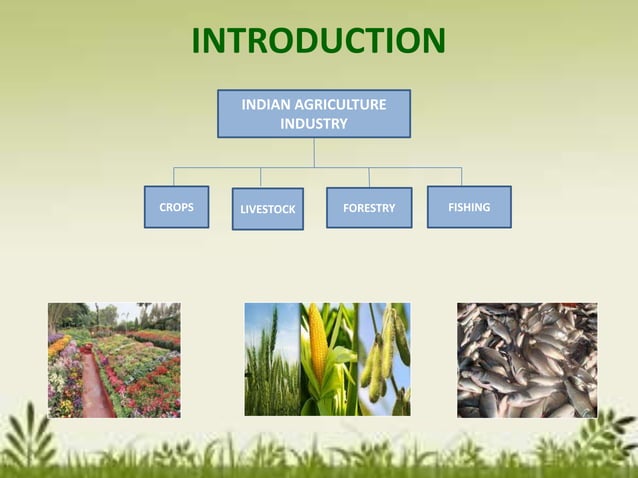 Agro based industries scenario and their future in India | PPTX