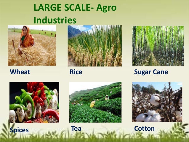 Agro based industries scenario and their future in India