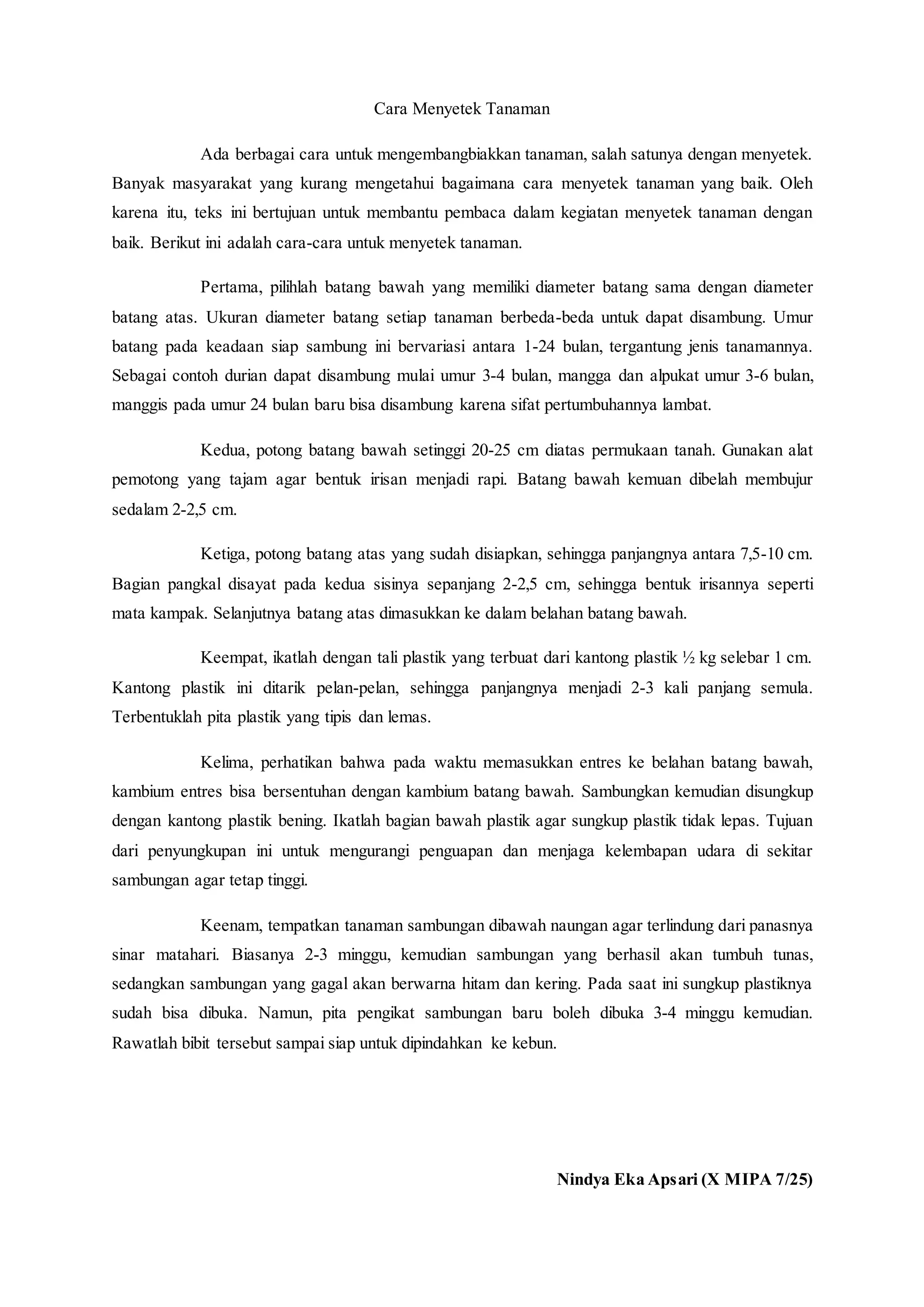 Teks Prosedur Kompleks "Cara Menyetek Tanaman" | DOCX