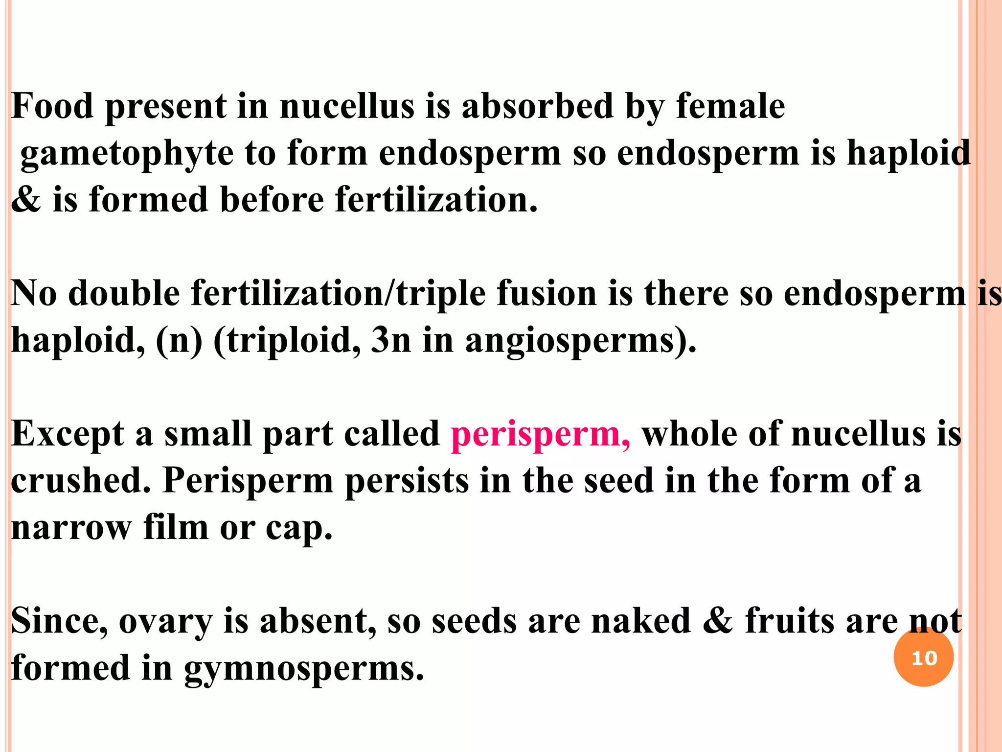 Gymnosperms and their economic importance | PPTX