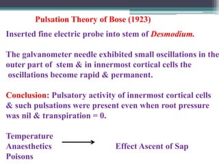Transport of water | PPTX