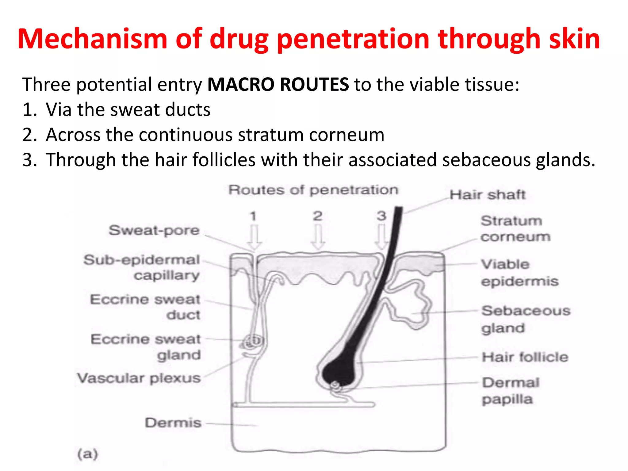 B.pharm- semisolid dosage form | PPTX