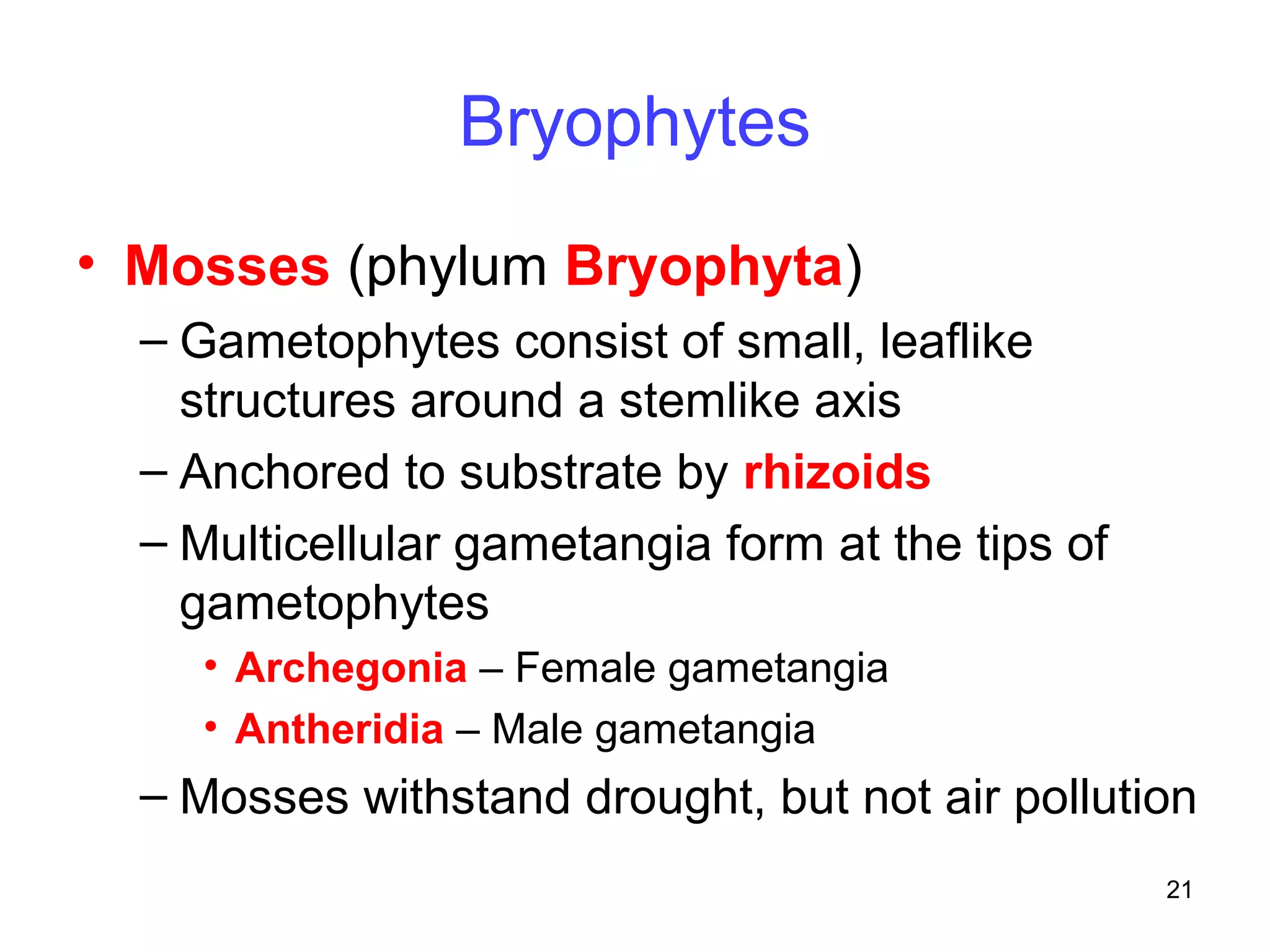 Overview of Green Plants | PPT