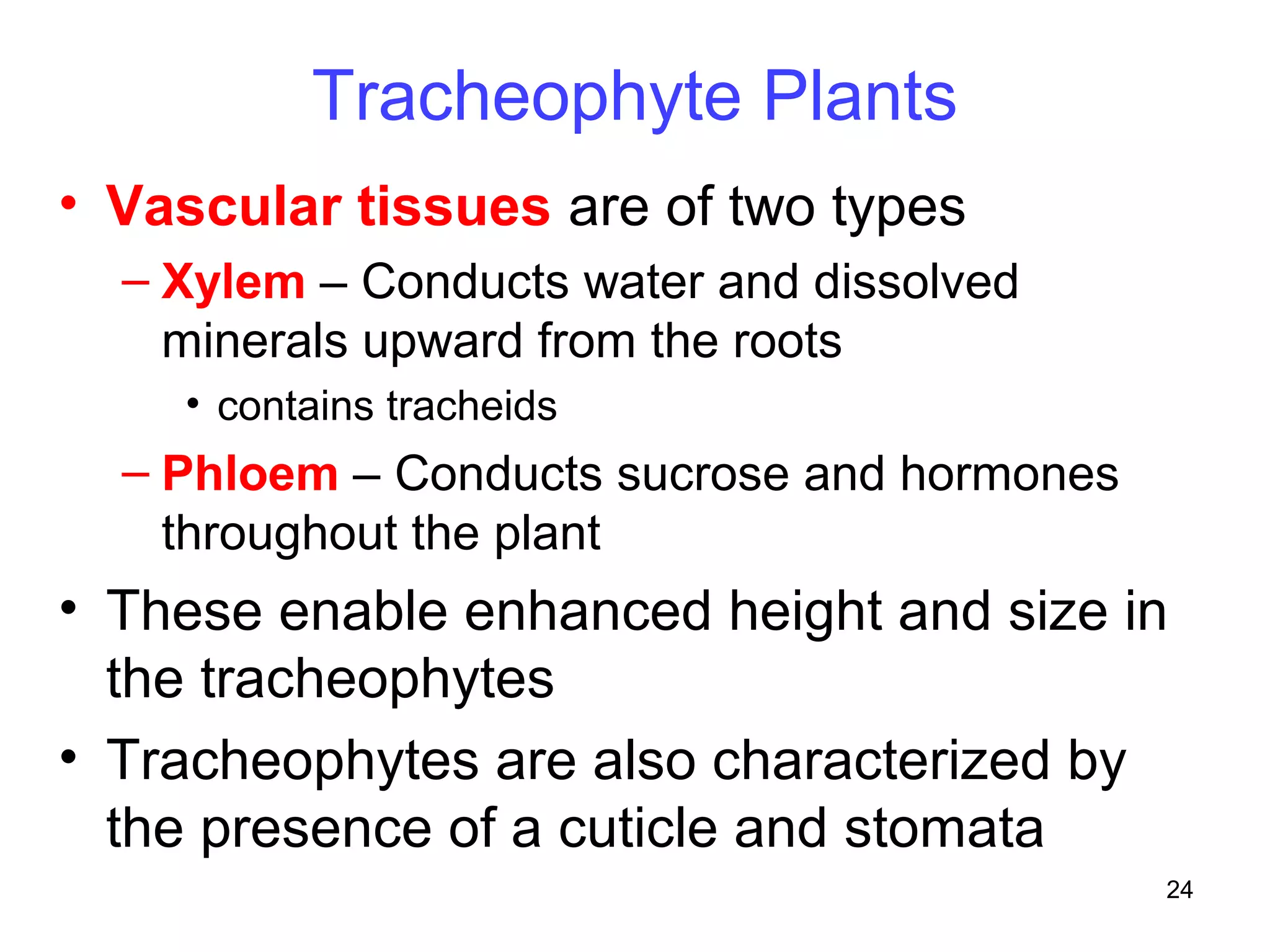 Overview of Green Plants | PPT