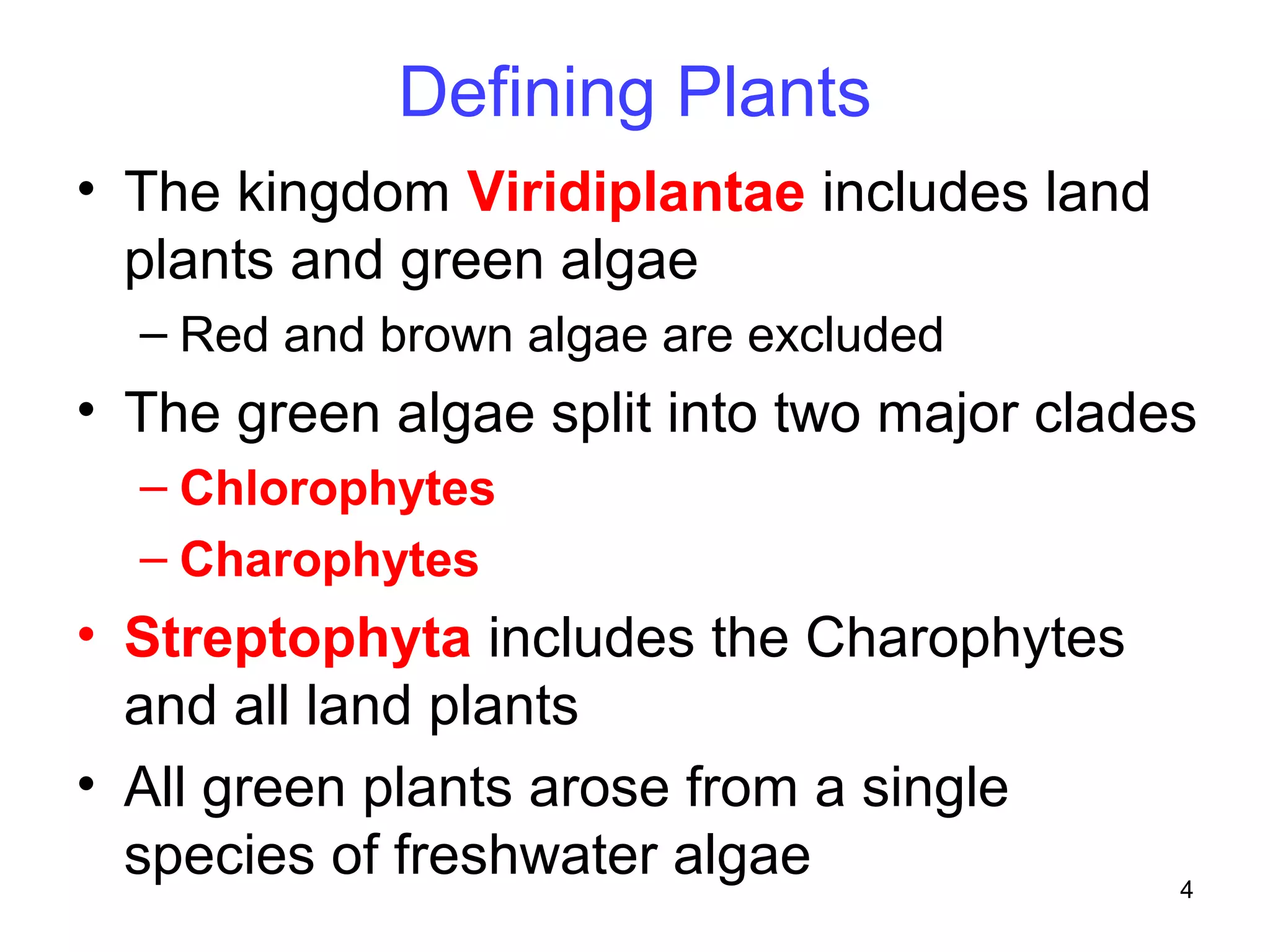 Overview of Green Plants | PPT