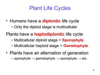 Overview of Green Plants | PPT