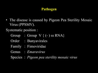 pigeon pea sterility mosaic virus | PPTX