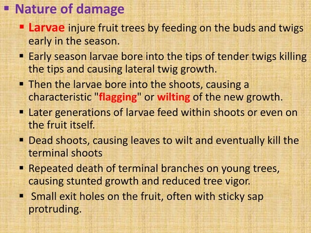 Peach Twig Borer | PPTX | Gardening | Home & Garden