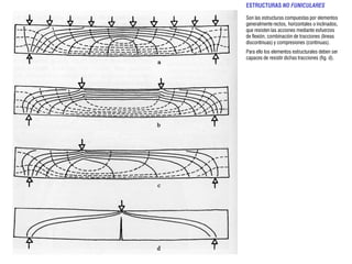 C3_B1_Tipos Estructurales | PDF