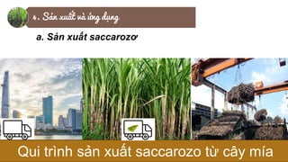 Bài trình chiếu saccarozo | PPTX