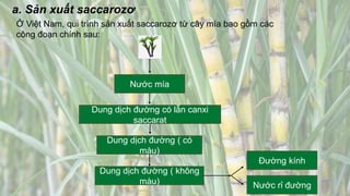 Bài trình chiếu saccarozo | PPT