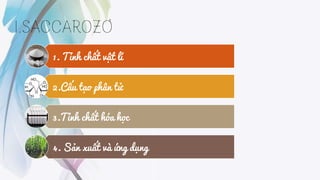 Bài trình chiếu saccarozo | PPTX