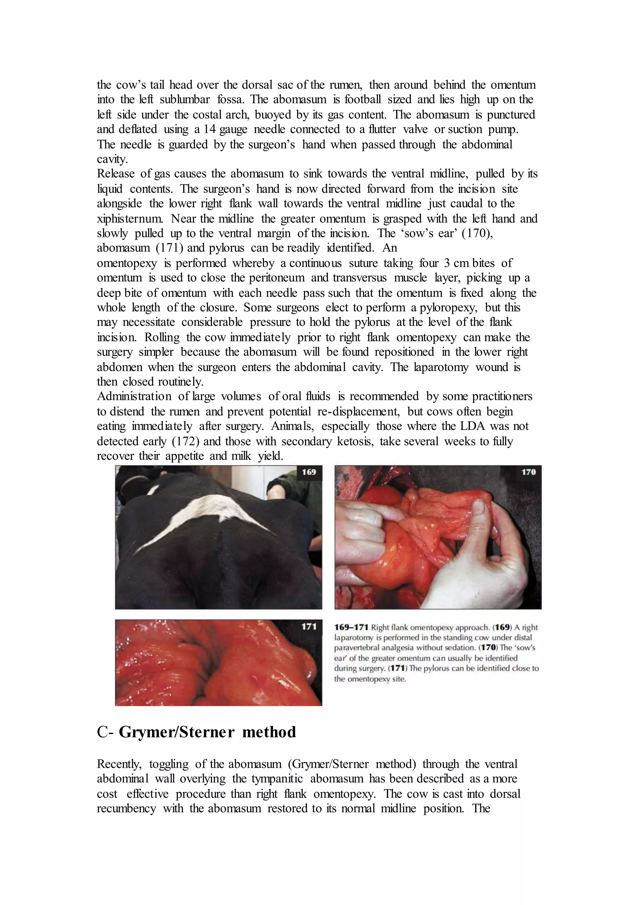 Displacement of the abomasum in cattle | DOC