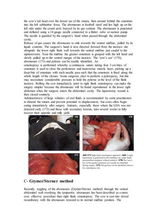 Displacement of the abomasum in cattle | DOC