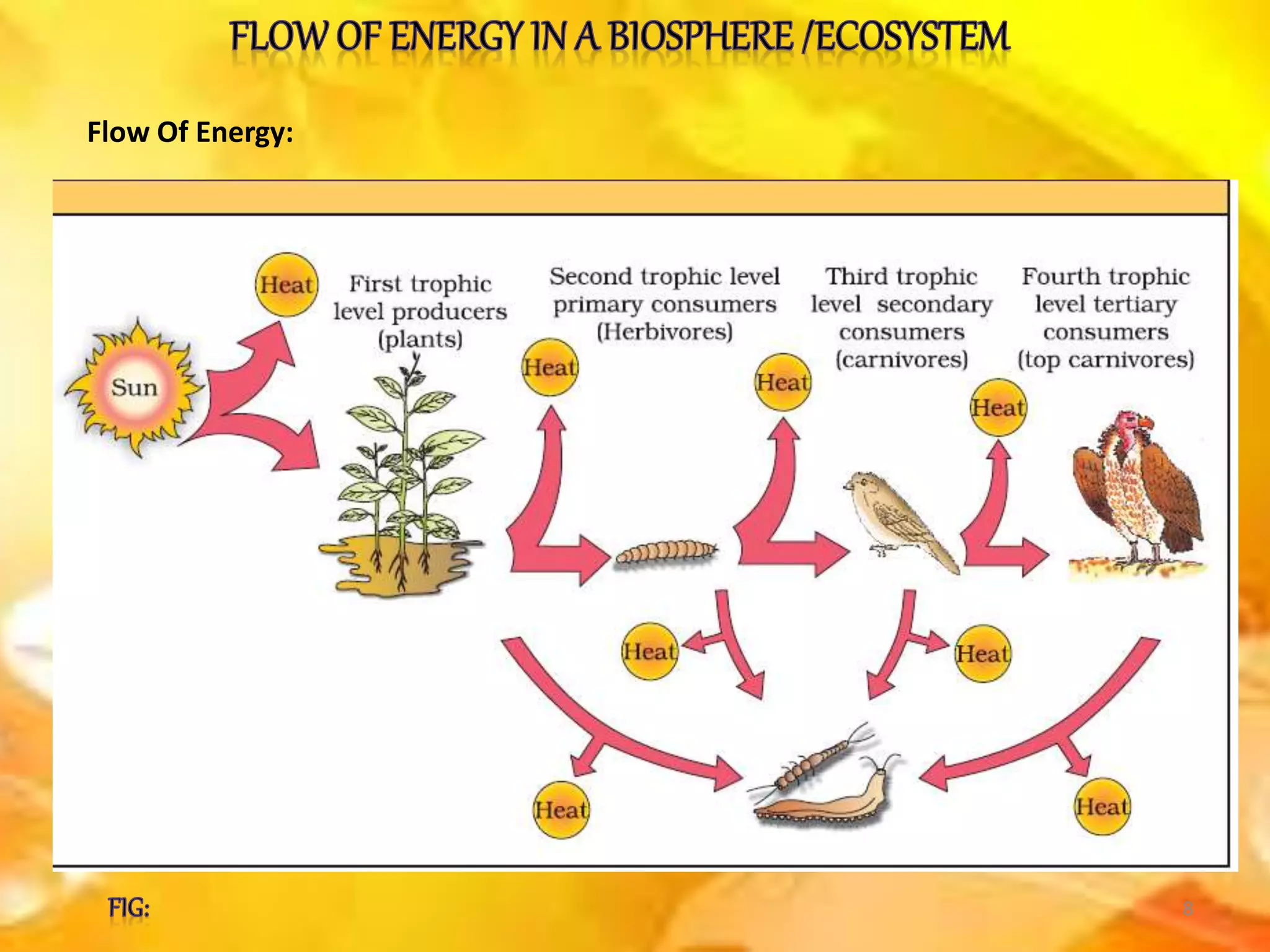 ecosystem | PPT