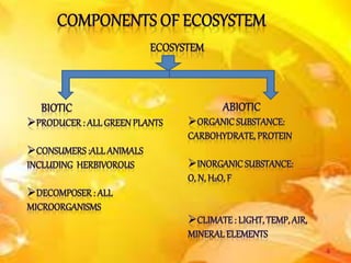 ecosystem | PPT