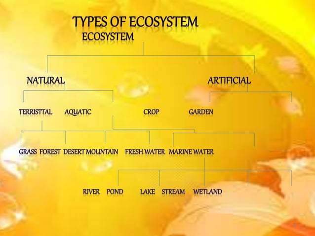 ecosystem | PPT