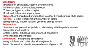B.sc.ii intro.+asteraceae | PPT