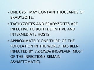 toxoplasma gondii | PPTX