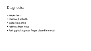 Cleft lip & palate | PDF