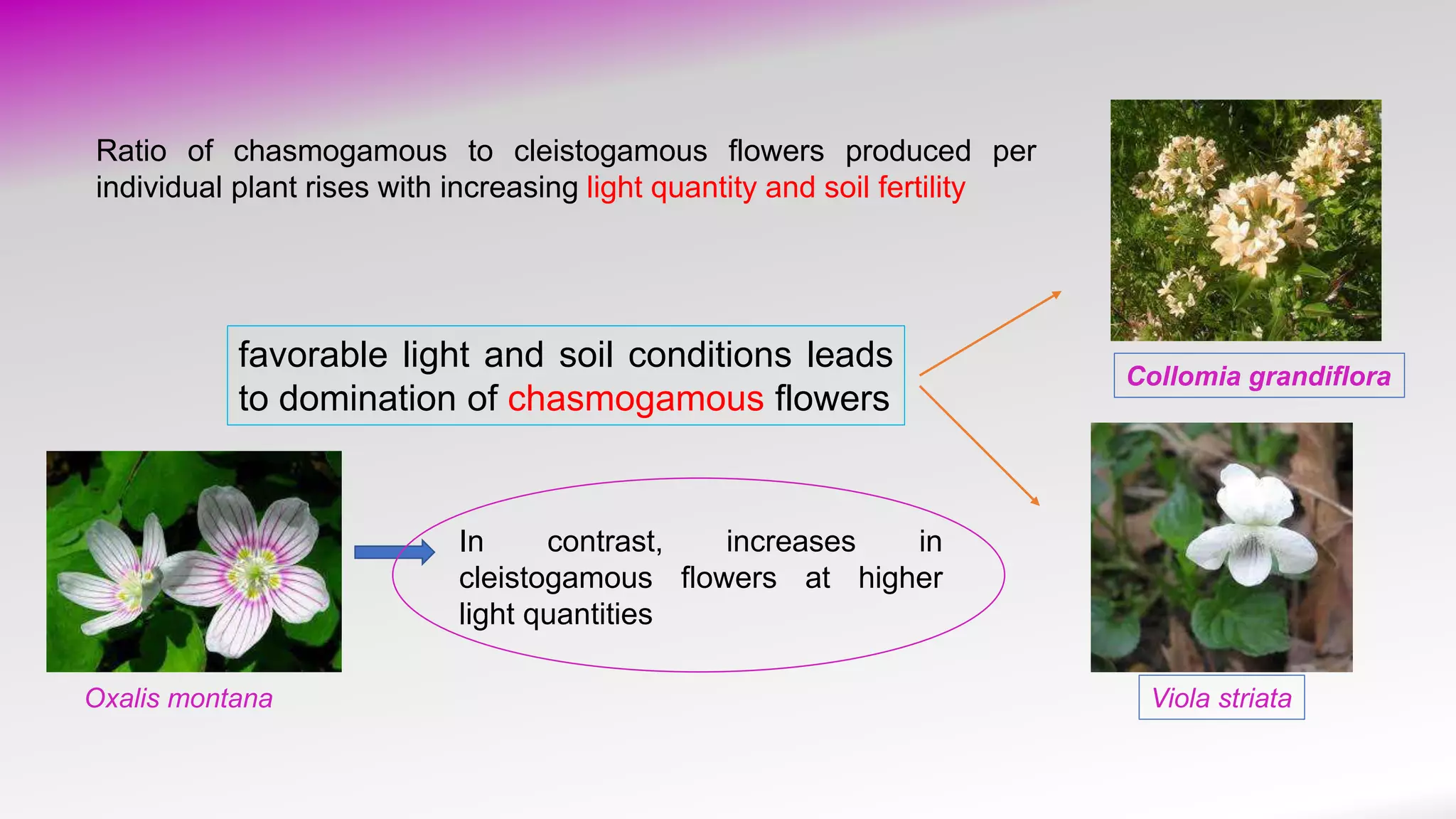 Cleistogamy and Chasmogamy in plants | PPTX