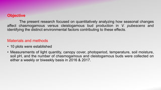 Cleistogamy and Chasmogamy in plants | PPTX