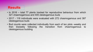 Cleistogamy and Chasmogamy in plants | PPTX