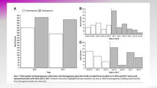 Cleistogamy and Chasmogamy in plants | PPTX
