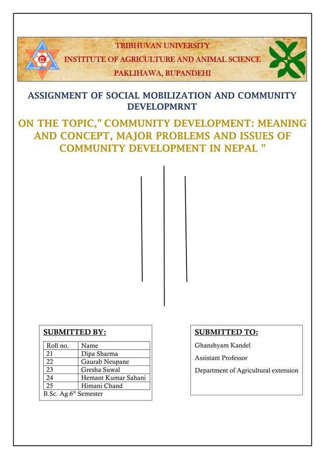 Community development | PDF