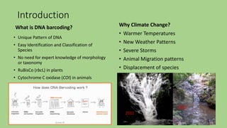 B. DNA Barcoding Presentation.pptx