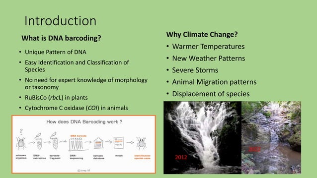 B. DNA Barcoding Presentation.pptx