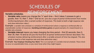 B.F SKinner.pptx | Science