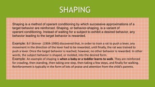 B.F SKinner.pptx
