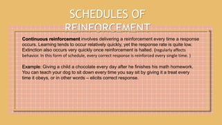 B.F SKinner.pptx | Science