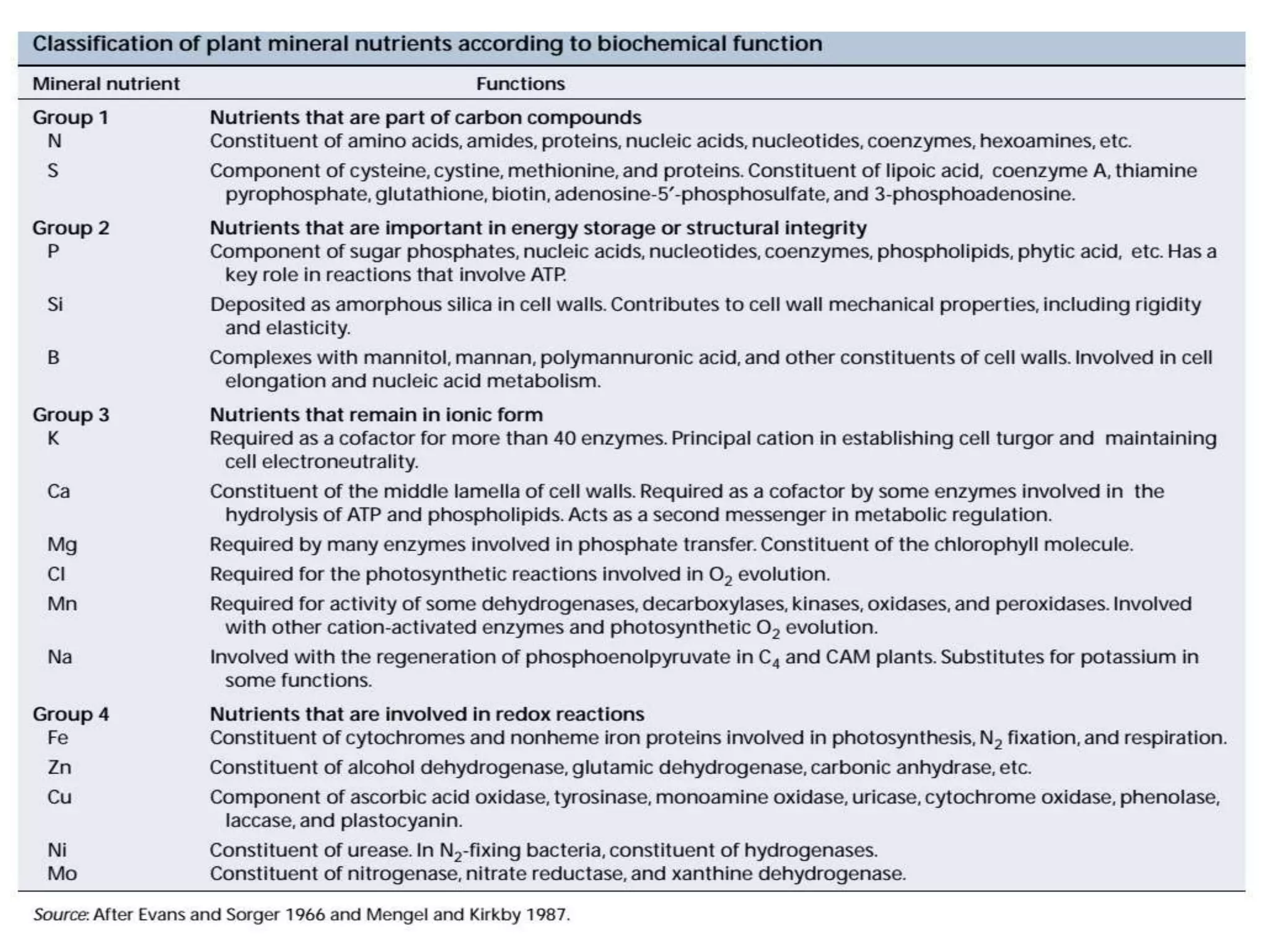 B.Sc. Ag. 1st year nutient deficiency symptoms New Microsoft Office ...