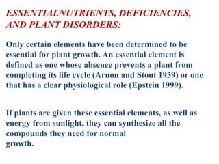 B.Sc. Ag. 1st year nutient deficiency symptoms New Microsoft Office ...