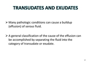 B.F Lecture 8 Serous F.analysis.pptx | Free Download