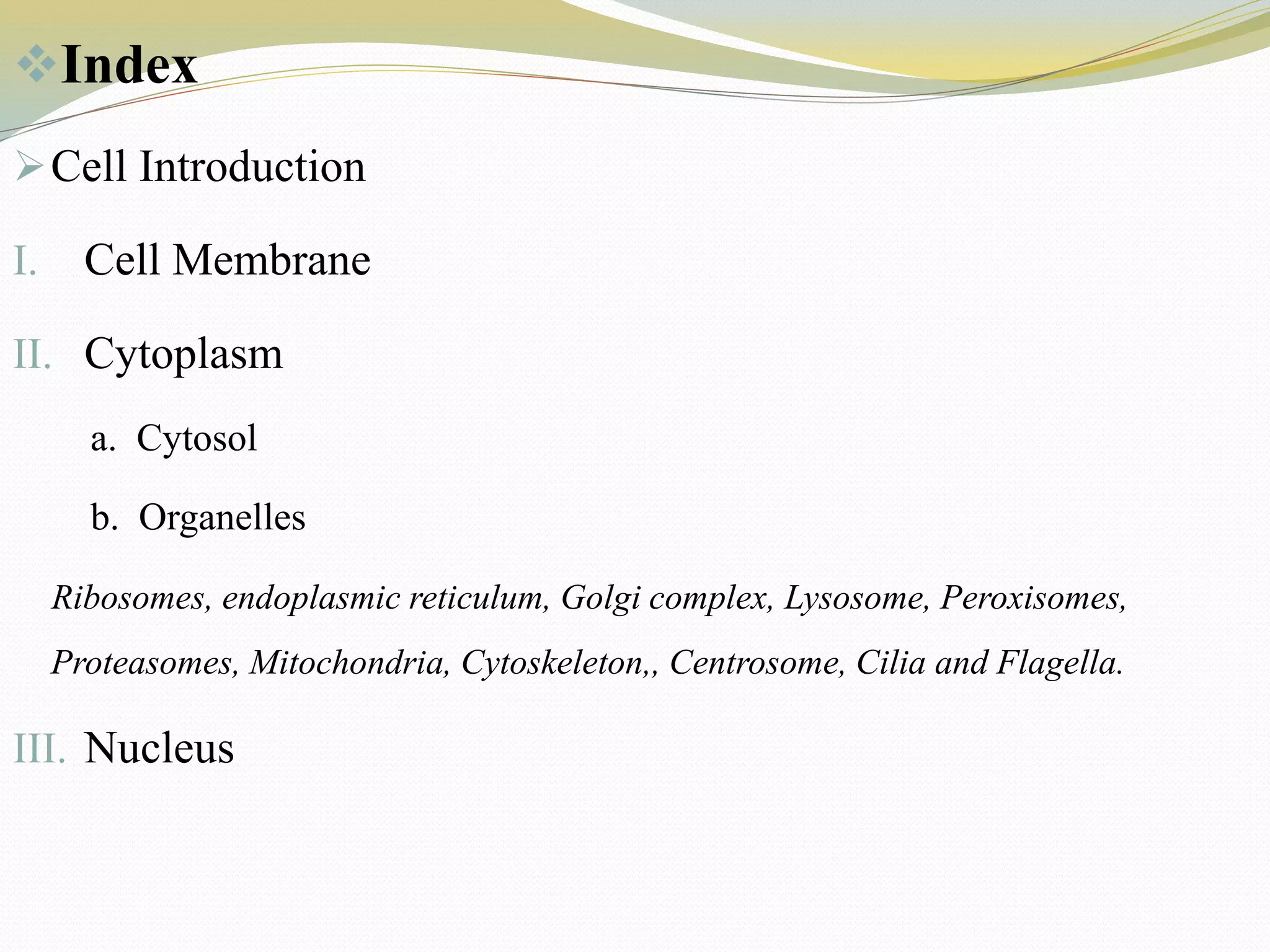 Cellular level of organization | PPTX