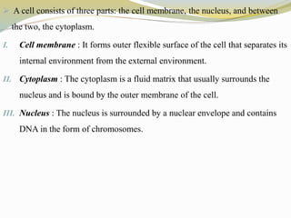 Cellular level of organization | PPTX