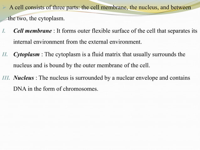 Cellular level of organization | PPTX | Chemistry | Science