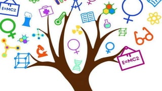 B.Sc Bachelor of science | PPTX