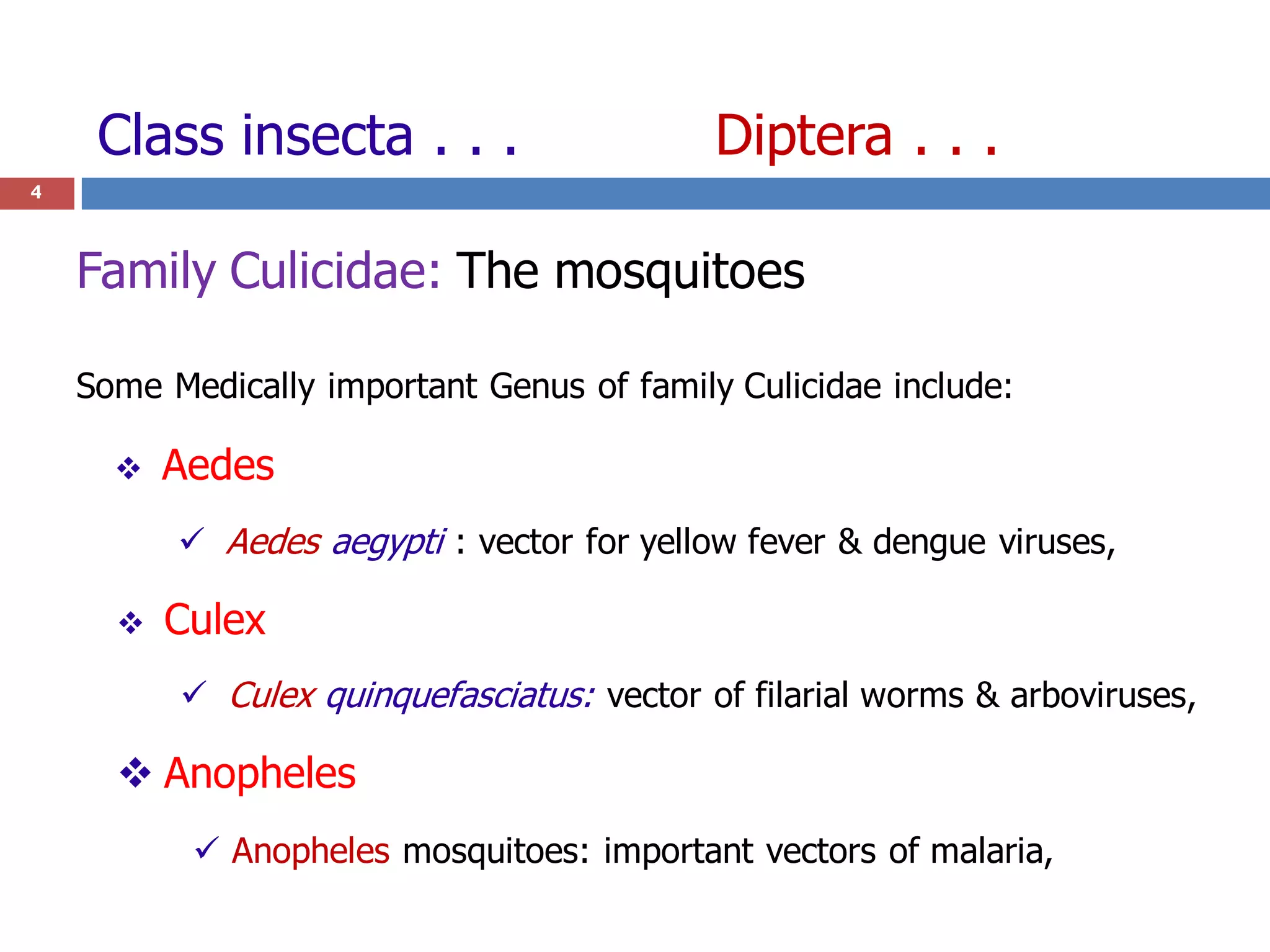 B. vector Biology 2nd class.pdf