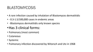 B. dermatitidis Knowledge of Microorganism involoved in skin.pptx