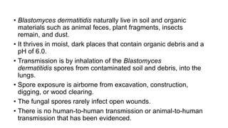 B. dermatitidis Knowledge of Microorganism involoved in skin.pptx