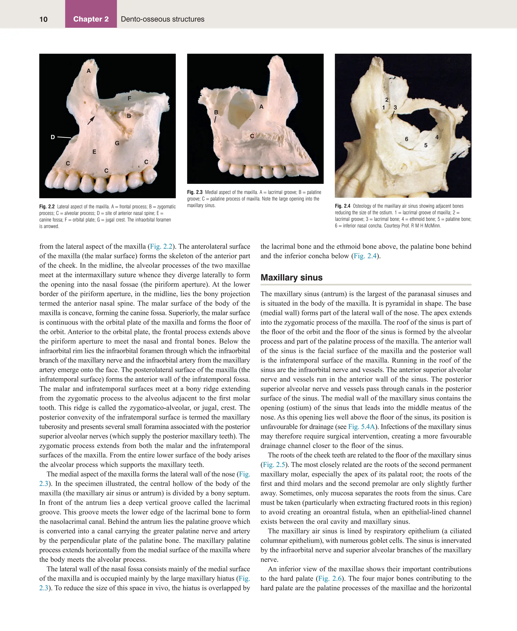 B.K.B. Berkovitz_ G R Holland_ Bernard J Moxham - Oral Anatomy ...