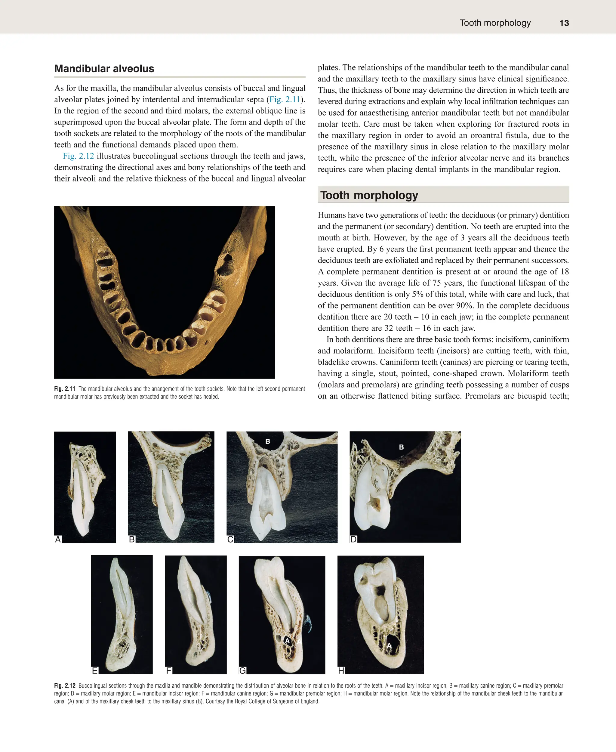 B.K.B. Berkovitz_ G R Holland_ Bernard J Moxham - Oral Anatomy ...