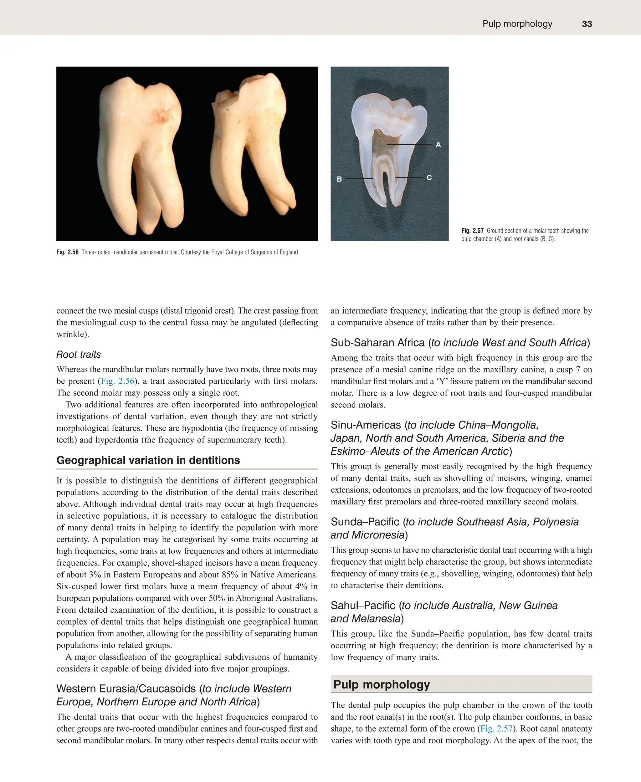 B.K.B. Berkovitz_ G R Holland_ Bernard J Moxham - Oral Anatomy ...