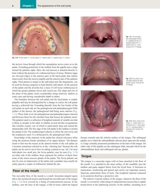 B.K.B. Berkovitz_ G R Holland_ Bernard J Moxham - Oral Anatomy ...